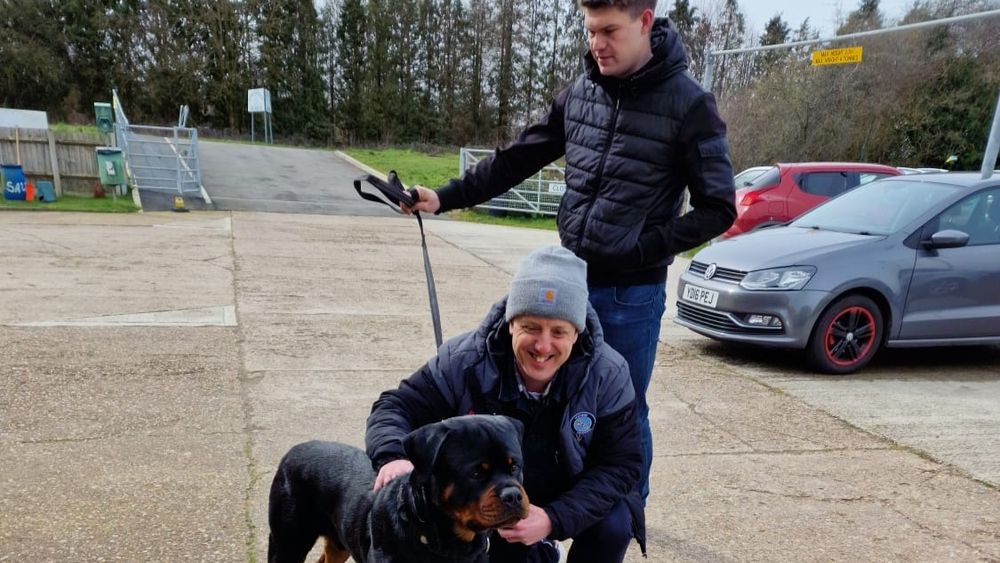 Max helps out at Stokenchurch Dog Rescue - Wycombe Wanderers